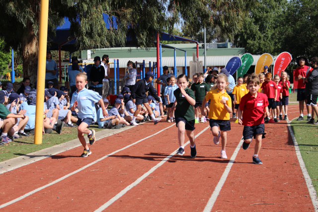 JUNIOR SPORTS DAY – Corpus Christi School – Werribee