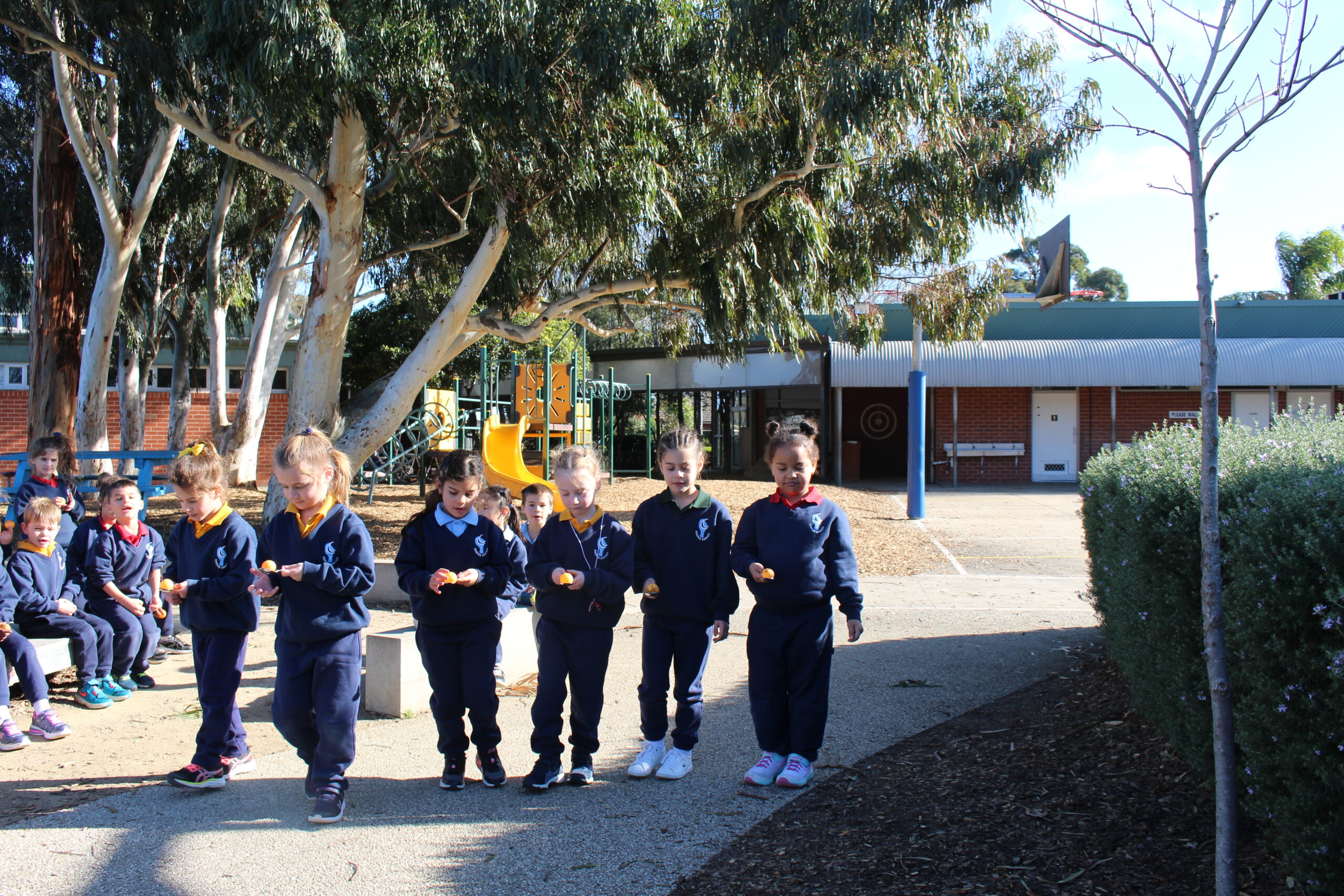 Newsletters - Corpus Christi Werribee